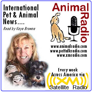 April 2008 Animal Radio® Newsletter